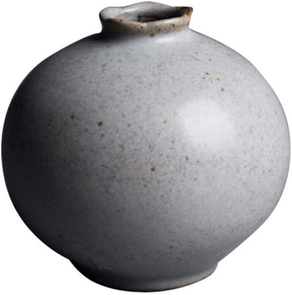 Our Favorite Home Essentials from Amazon