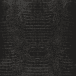 FALL IS HERE! Discover the Must-Have Color Palette to Create Your IDEAL ...