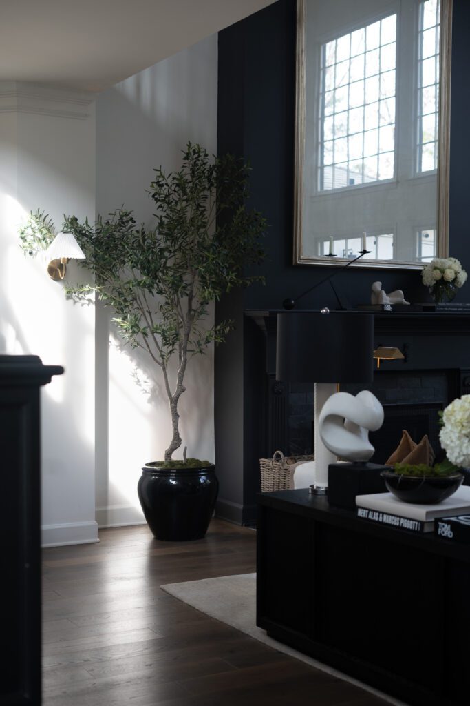 The Easiest Way to Add Life to Any Room (Hello, Olive Trees)