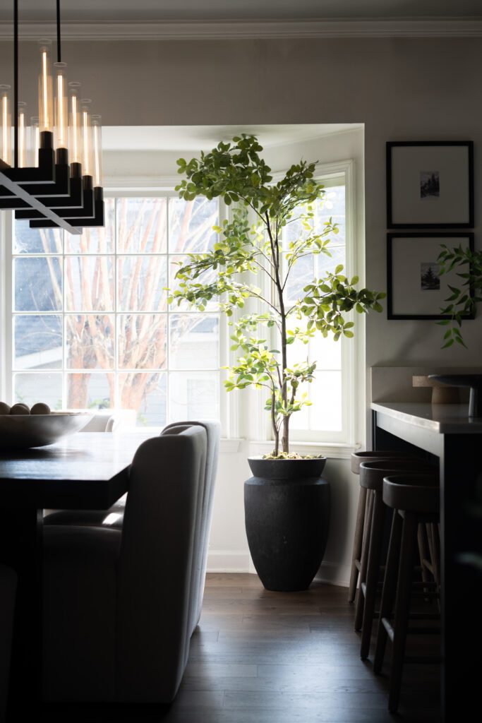 The Easiest Way to Add Life to Any Room (Hello, Olive Trees)