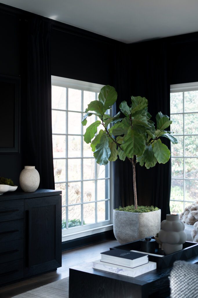 The Easiest Way to Add Life to Any Room (Hello, Olive Trees)