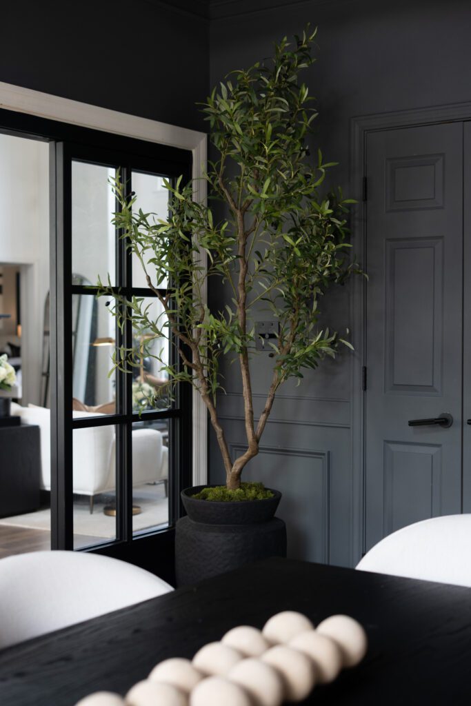 The Easiest Way to Add Life to Any Room (Hello, Olive Trees)